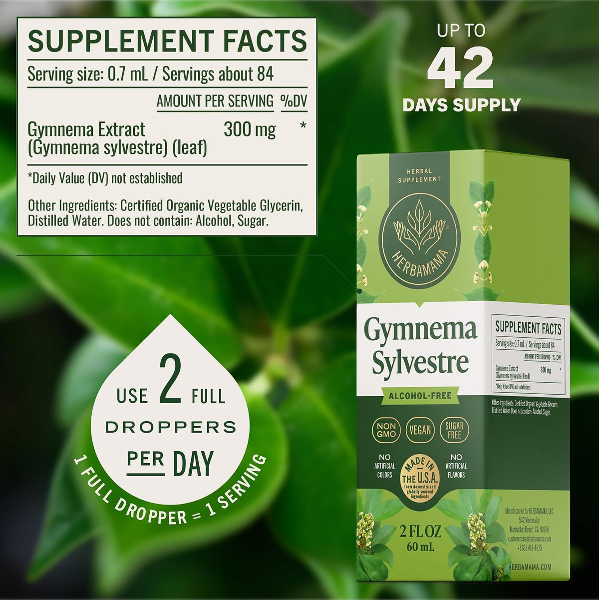500 mg Gymnema Sylvestre benefits