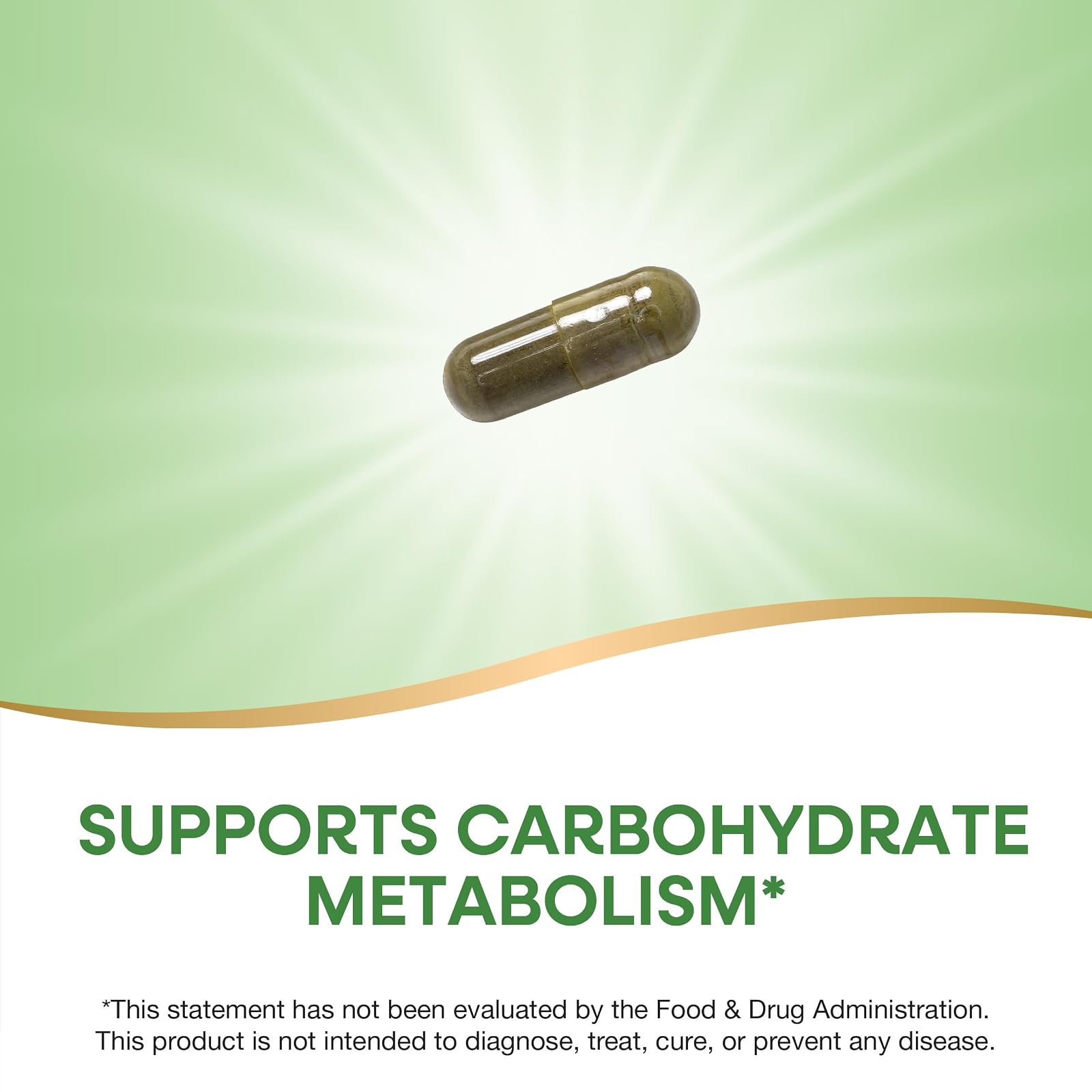 500 mg gymnema sylvestre supplement