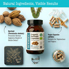 500 mg Haritaki health benefits