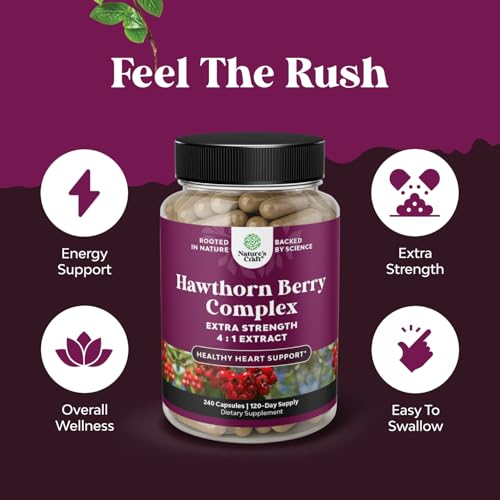 500 mg Hawthorn Berry daily dosage