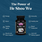 500 mg He Shou Wu benefits