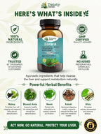 500 mg herbal liver supplement