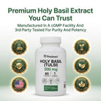 500 mg Holy Basil supplement