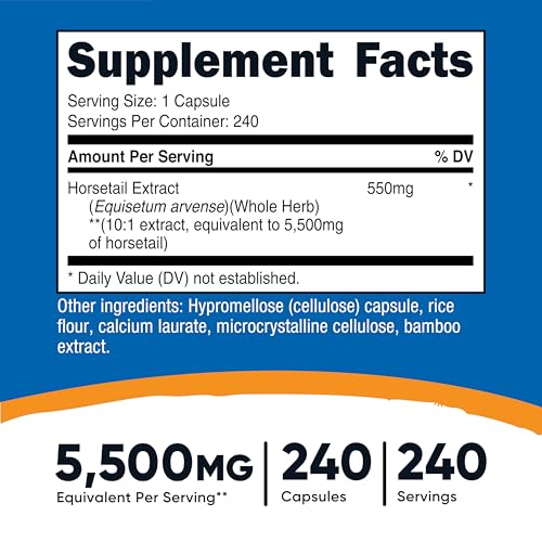 500 mg horsetail extract benefits