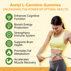 500 mg l-carnitine for weight management