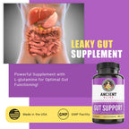 500 mg L-Glutamine multivitamin for athletes