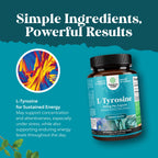 500 mg L-Tyrosine for cognitive function