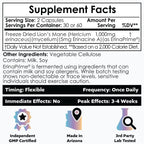 500 mg lion's mane capsules for focus