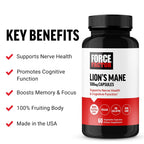 500 mg Lion's Mane for cognitive support