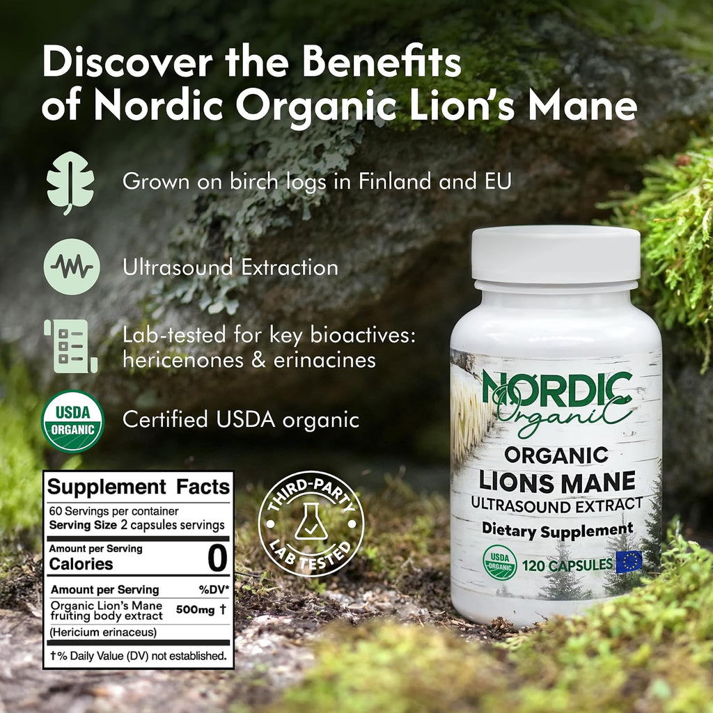 500 mg Lion's Mane health benefits