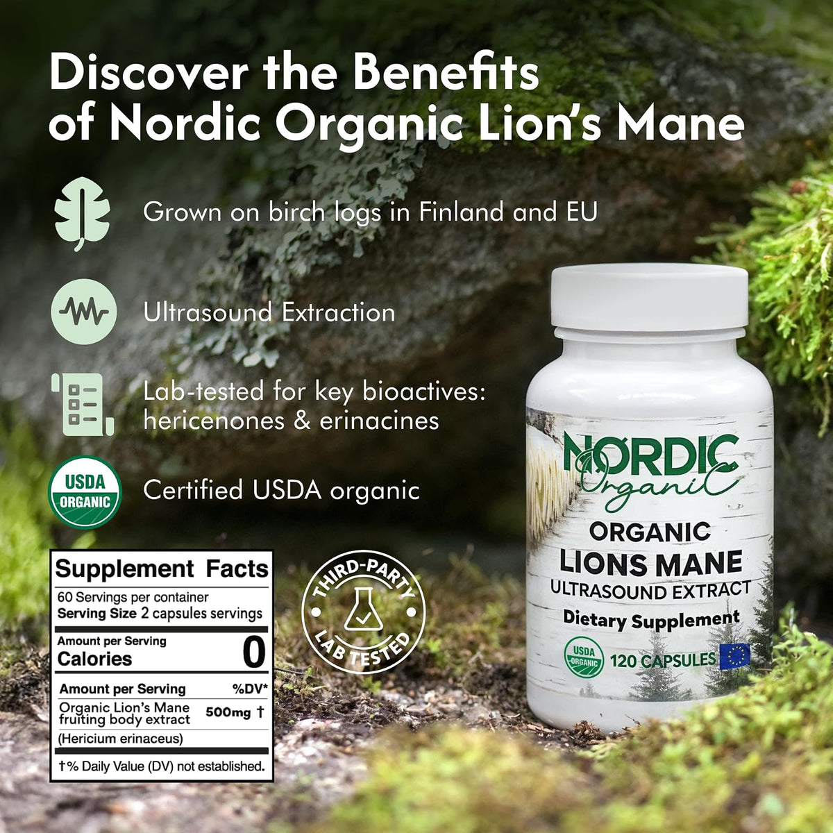 500 mg Lion's Mane health benefits
