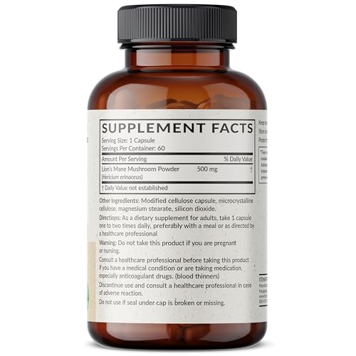 500 mg Lion's Mane supplement benefits