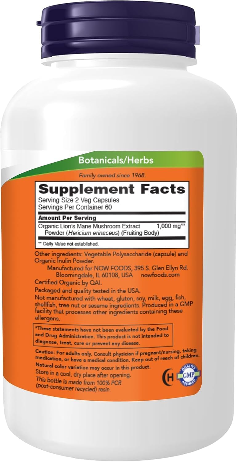 500 mg Lion's Mane supplement