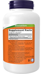 500 mg Lion's Mane supplement