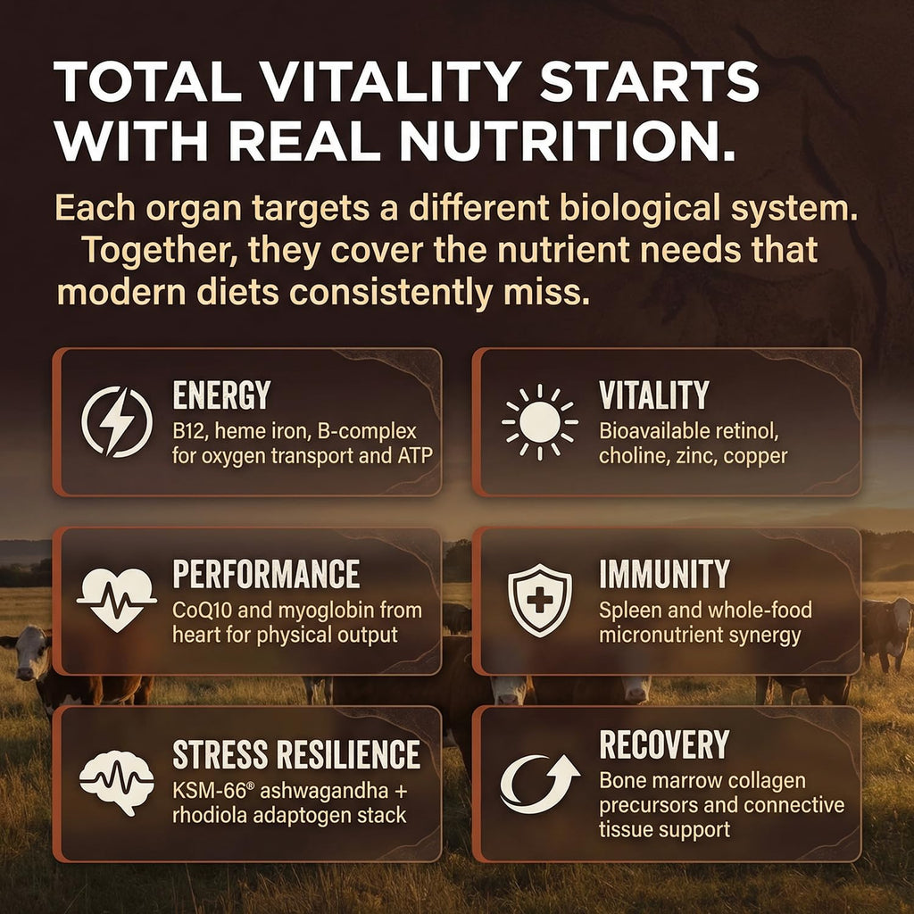 500 mg liver extract for vitality