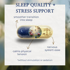 500 mg magnesium supplement benefits