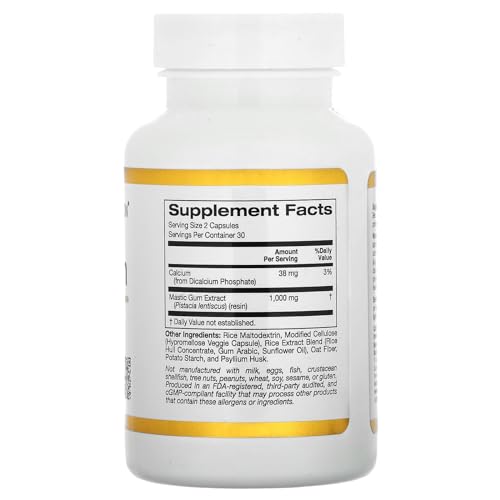 500 mg mastic gum for digestion