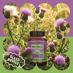 500 mg milk thistle for liver health