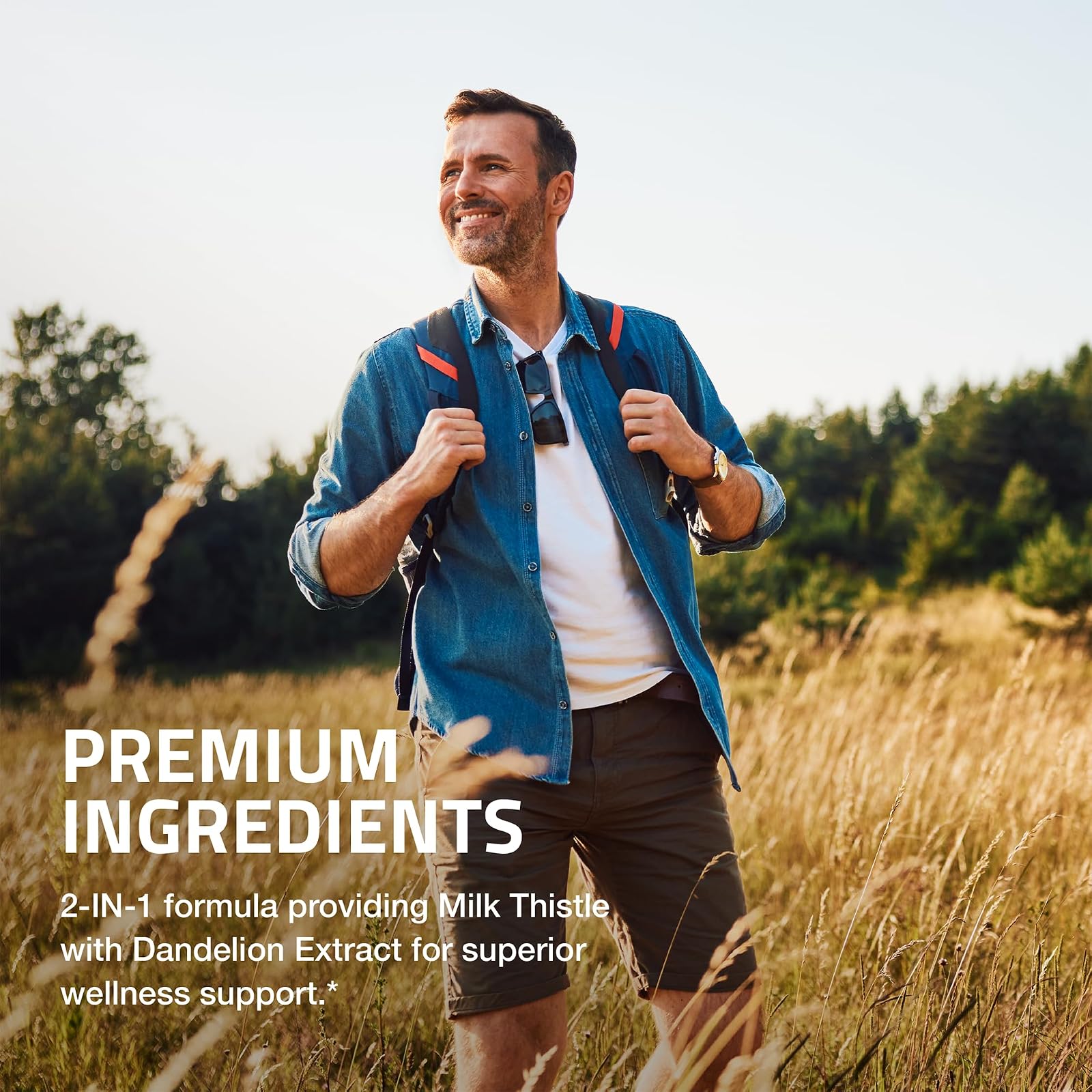 500 mg milk thistle silymarin dosage