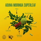 500 mg moringa for daily nutrition