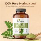 500 mg moringa oleifera health benefits