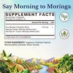500 mg moringa oleifera health benefits