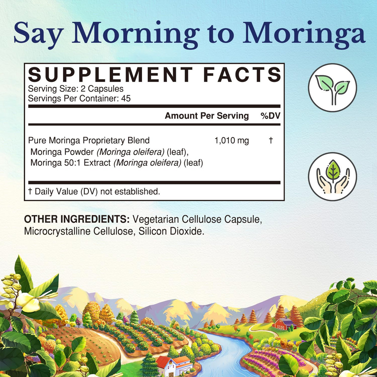 500 mg moringa oleifera health benefits
