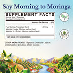 500 mg moringa Oleifera health benefits