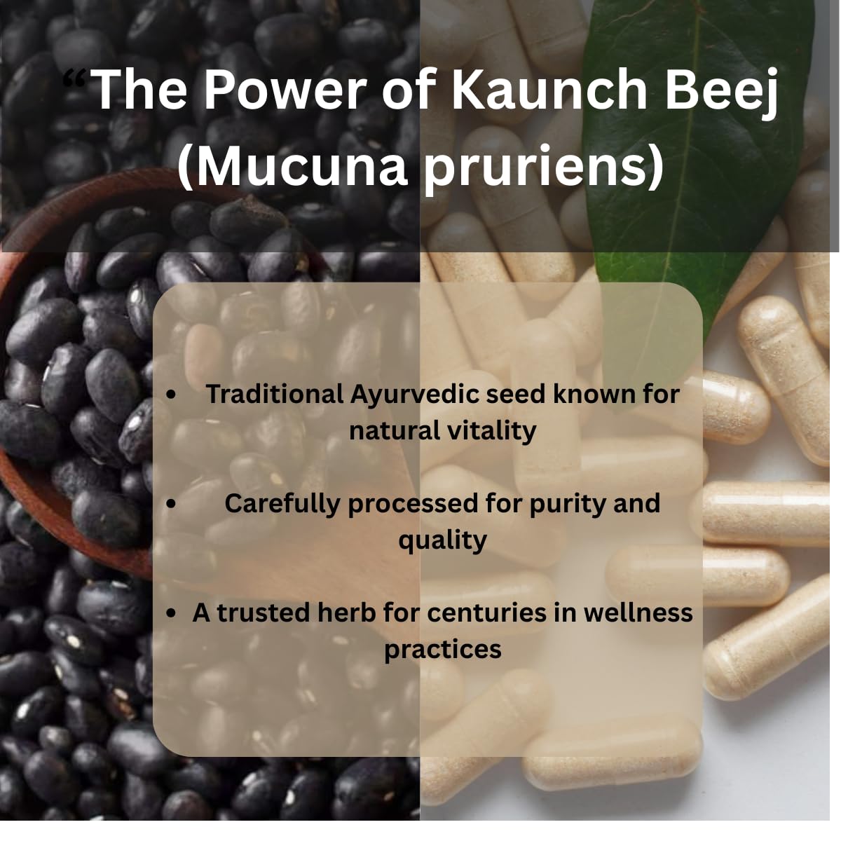 500 mg Morsan Kaunch capsules for vitality