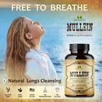500 mg Mullein capsules for wellness