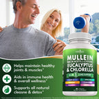 500 mg Mullein extract for immunity