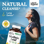 500 mg Mullein for respiratory health