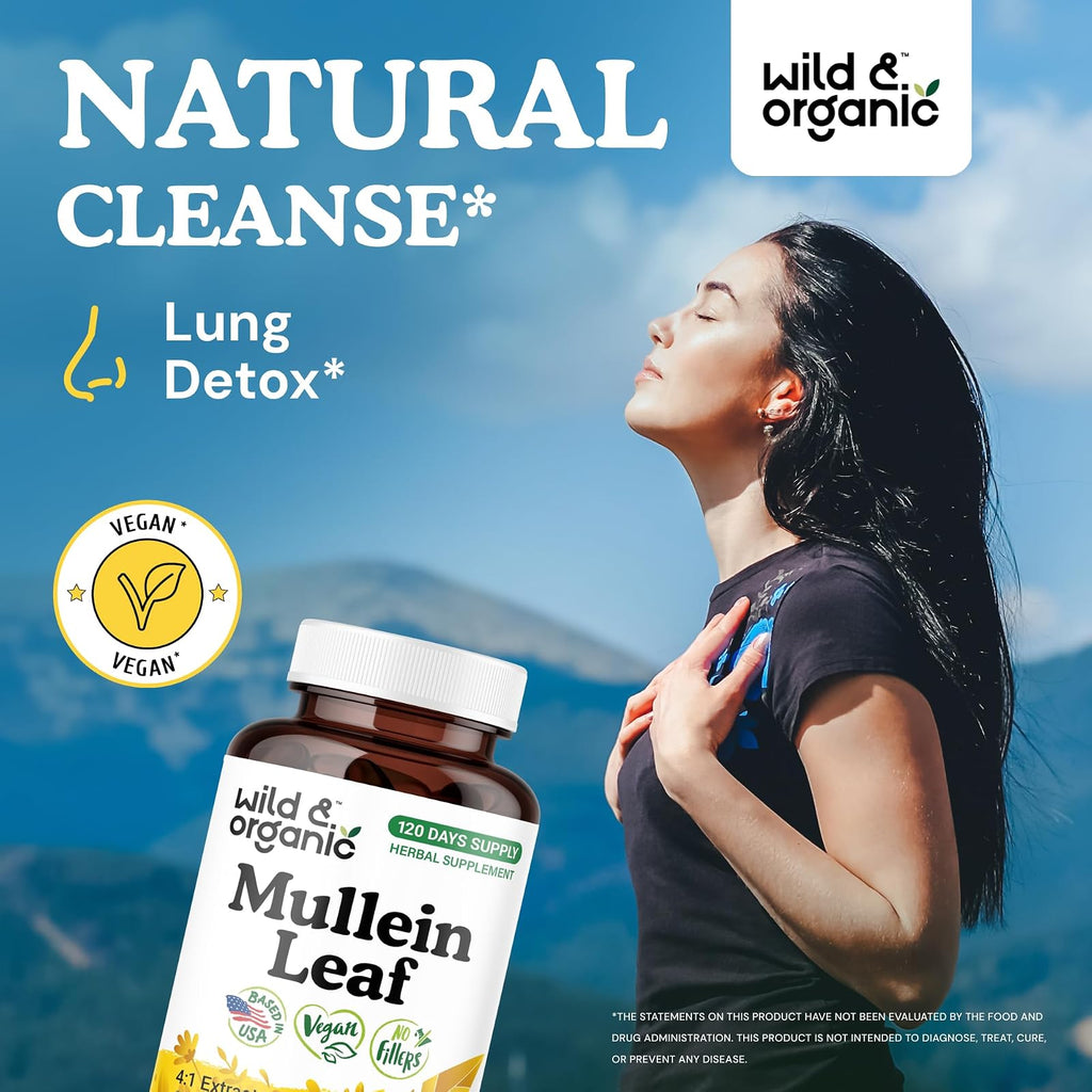 500 mg Mullein herbal supplement benefits