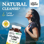 500 mg Mullein herbal supplement benefits