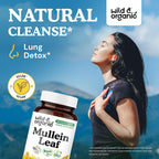 500 mg Mullein herbal supplement for wellness