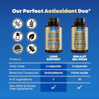 500 mg Mullein leaf extract dosage
