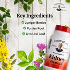 500 mg multivitamins for wellness
