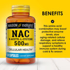500 mg N-Acetyl L-Cysteine benefits