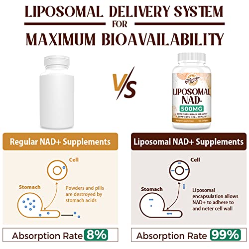 500 MG NAD+ for vitality
