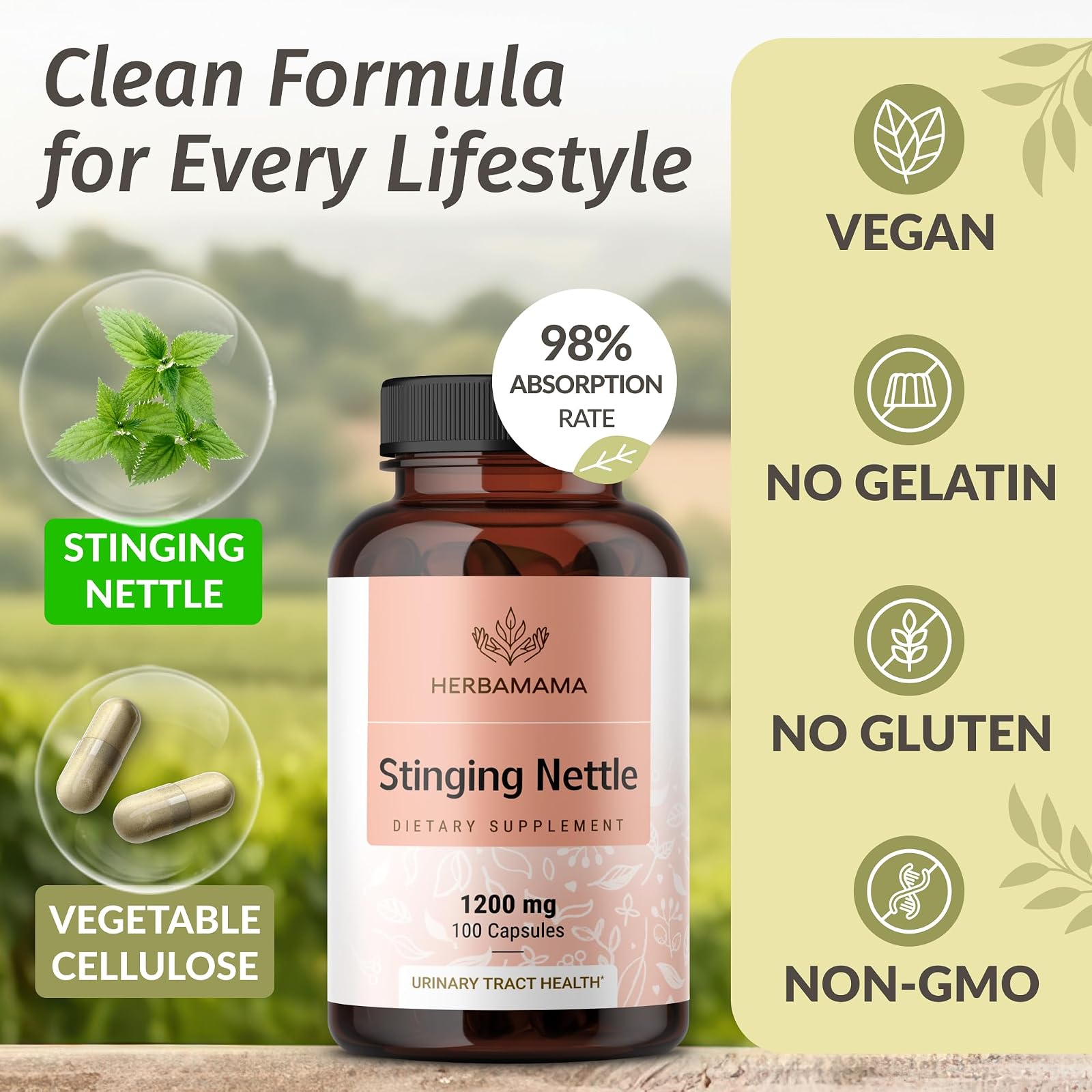 500 mg nettle root for daily use