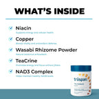500 mg niacinamide vitamin B complex