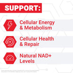 500 mg NMN for vitality