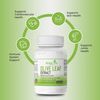 500 mg olive leaf capsules