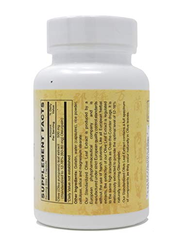 500 mg olive leaf extract dosage