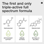 500 mg olive leaf supplement