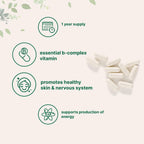 500 mg Pantothenic Acid supplement
