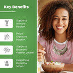 500 mg papaya leaf capsules
