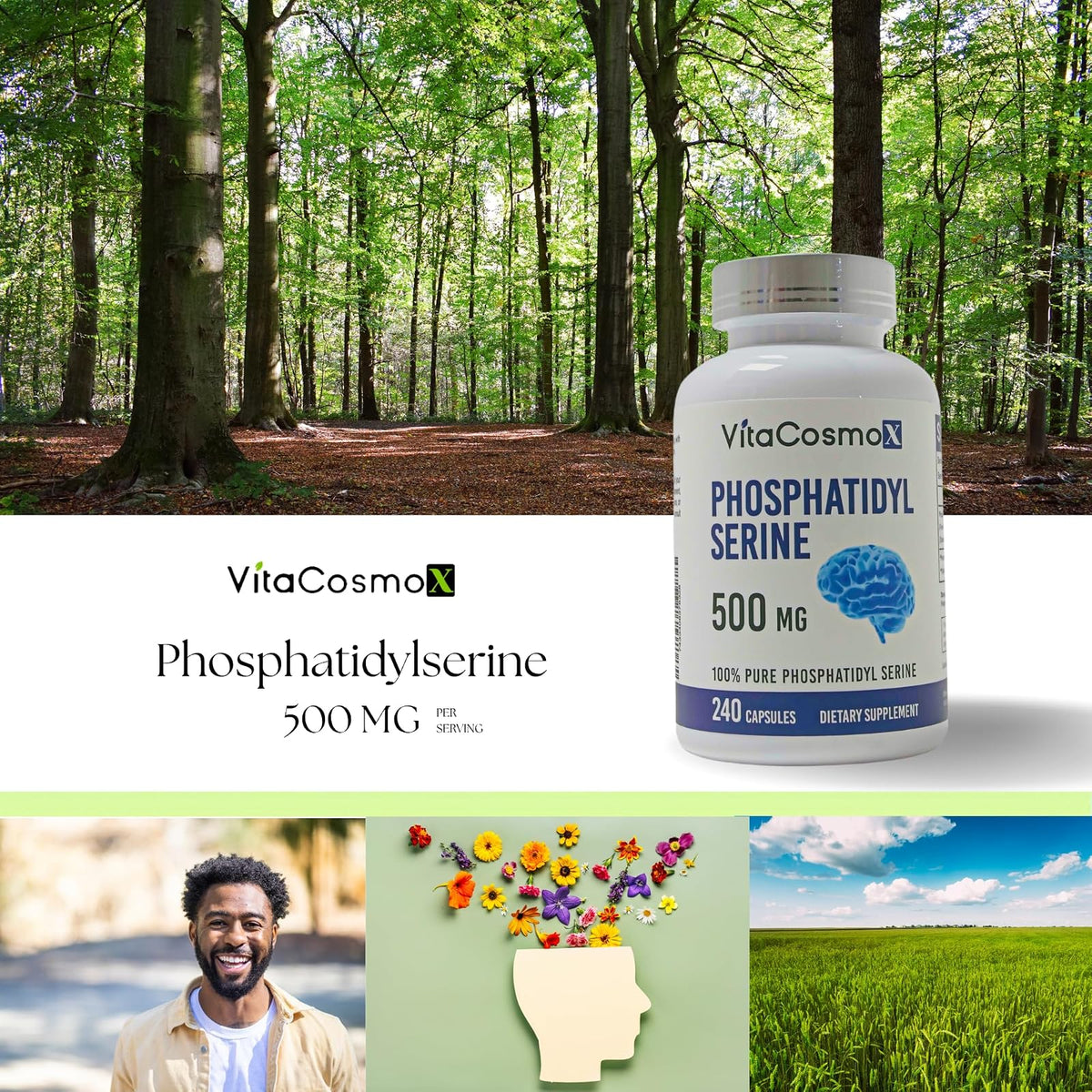 500 mg Phosphatidylserine veggie capsules