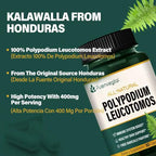 500 mg Polypodium multivitamin capsules