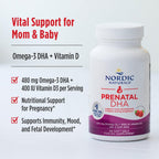 500 mg prenatal DHA for pregnancy